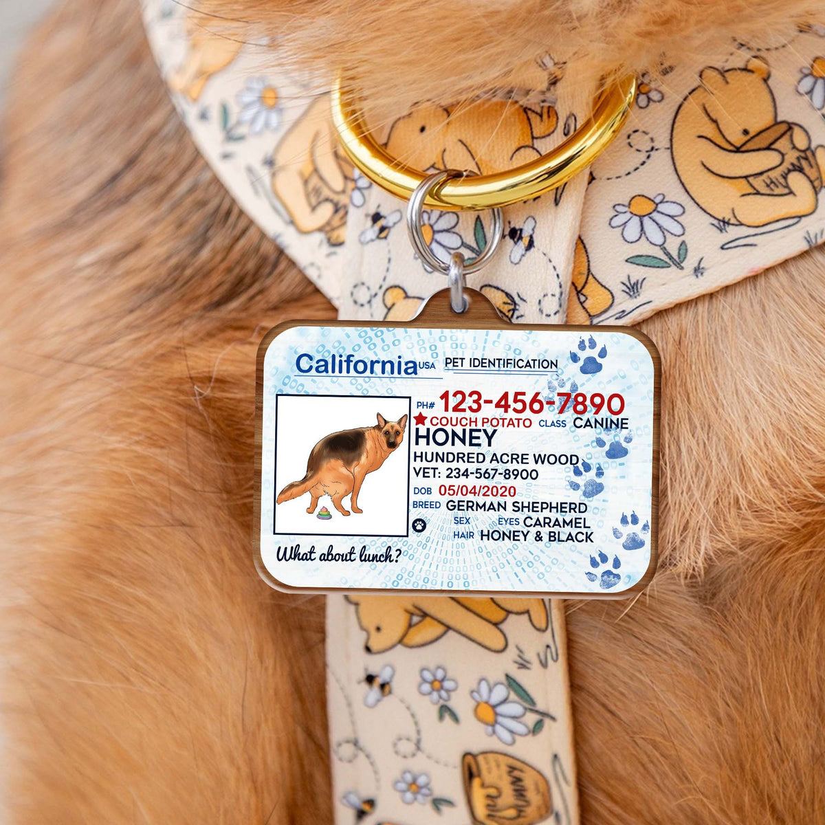 Personalized Funny Dog License Tag ID Keychain, Pet Driver License Id ...